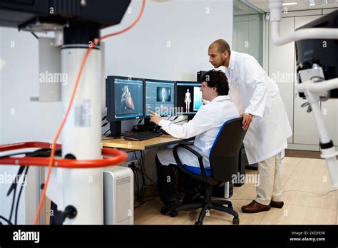 Simulation Of Organ Structure Function Health And Biomedical Applications Vicomtech Ik4 Visual