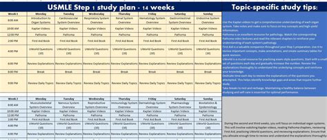 Master The Usmle Step 1 With Our Comprehensive 3 Month Study Plan For