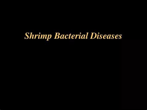 Ppt Shrimp Bacterial Diseases Powerpoint Presentation Free Download