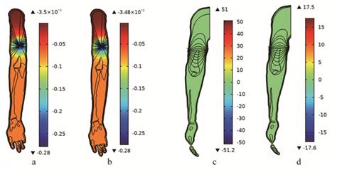 Chinese Digital Arm CDA A High Precision Digital Arm For Electrical Stimulation Simulation