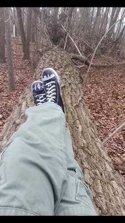 Crow Being Obsessed With Crows And Stuff Crow Art Creature