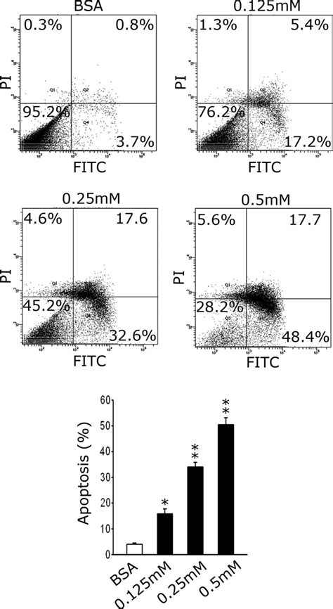 Palmitate Increases Apoptosis Of Hbm Mscs In A Dosedependent Manner