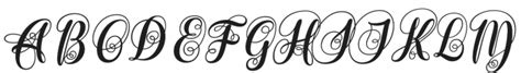 Monogram Script Plain Otf Font Script Decorative What Font Is