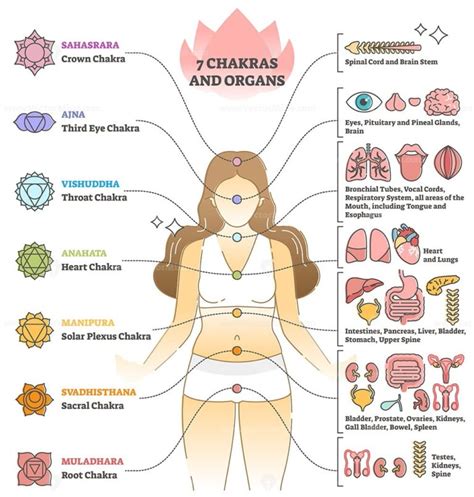 Diagram Of Chakras