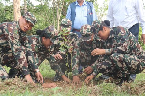गणतन्त्र दिवसको पूर्वसन्ध्यामा कावासोतीमा वृक्षरोपण नवलपुर प्रेस