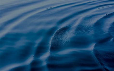 CSRD And EU Taxonomy Ecobio Manager