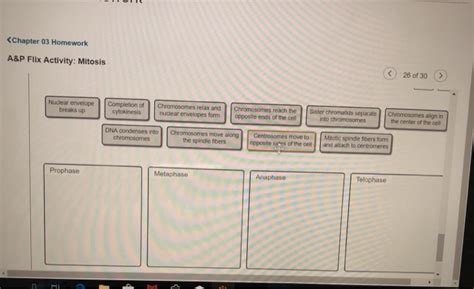 Solved Chapter 03 Homework A P Flix Activity Mitosis 26 Of Chegg