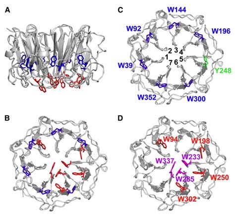 The Uvr8 Uv B Photoreceptor Perception Signaling And Response