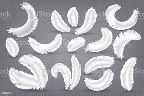 현실적인 깃털입니다 솜 털 흰 거 위 및 백조 깃털 무중력 깃털 절연 벡터 3차원 형태에 대한 스톡 벡터 아트 및 기타 이미지