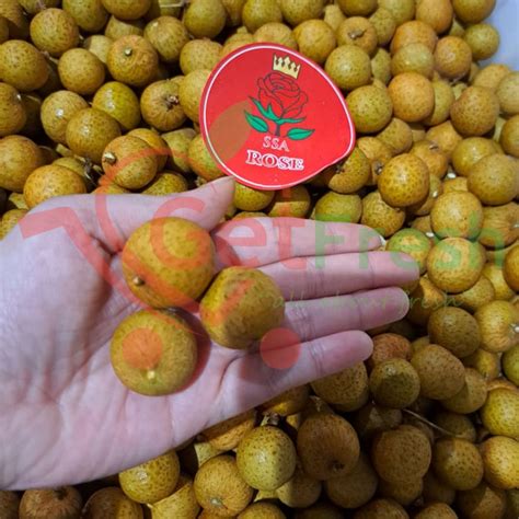 Jual Lengkeng Keranjang 11 Kg Shopee Indonesia