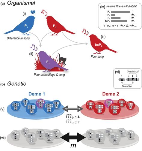 新物种诞生的必经之路：生殖隔离丨浙江大学生命演化研究中心