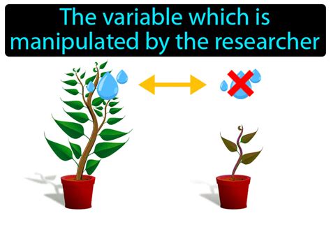 Independent Variable Definition And Image Gradesupgg