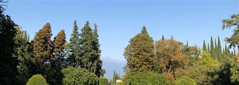 ალექსანდრე ჭავჭავაძის სახლ მუზეუმი History Museum In Tsinandali