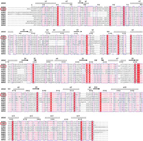 multiple sequence alignment of various l ris and their homologs the
