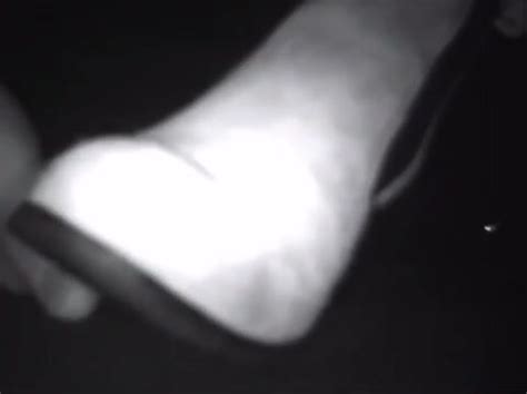 Hand Trample Thisvid Com