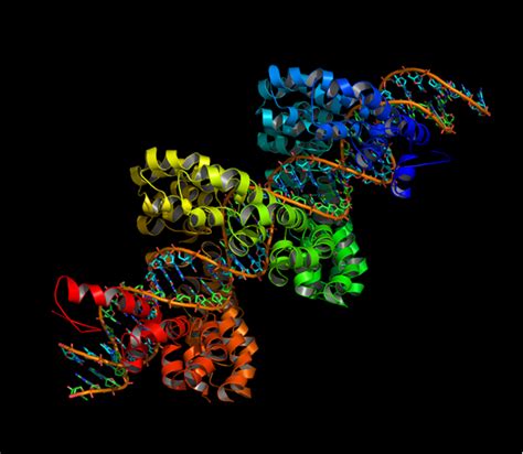 Talen Tale Tf 易锦生物 Igenebio