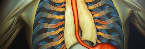 Esophageal Varices And Liver Cirrhosis