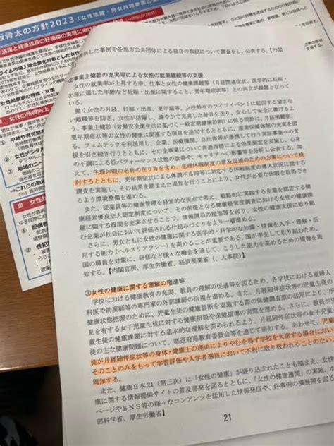 山本かなえ 公式tw On Twitter 本日（13日）、閣議決定されました女性活躍・男女共同参画の重点方針2023（女性版骨太の方針