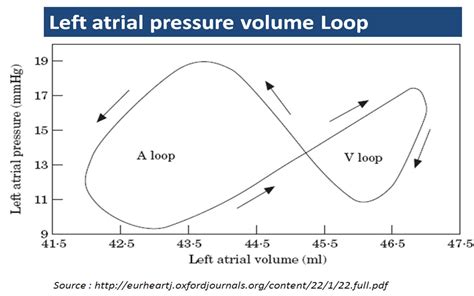 Left Atrial Pressure Volume Loop Dr S Venkatesan Md