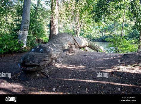 Fallen Tree With Face Made To Look Like The Loch Ness Monster Nessie Ness Islands Inverness