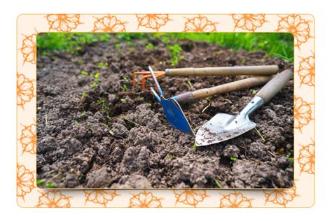 Способы улучшения почвы | Seedspost.ru
