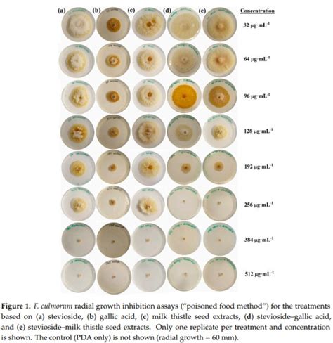 Antifungal Activity Against Fusarium Culmorum Of Stevioside Silybum