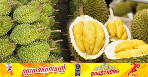 ចិន បញ្ជូន ផ្លែ ទុរេនទៅឱ្យវៀតណាមវិញ ចំនួន ៣០ជើង ក្រោយរកឃើញមានសារធាតុពុលកាដមីញ៉ូម Khmernote