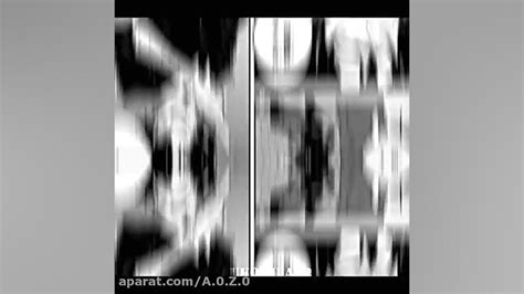 سگ های ولگرد بانگو