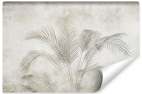 Fototapeta Do Salonu Liście Palmowe Natura Beton Abstrakcja 315cm X
