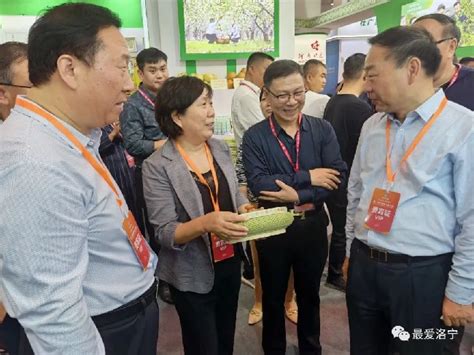 王淑霞带队赴广西南宁参会招商 洛宁要闻 洛宁县人民政府门户网站