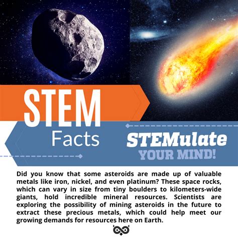 Stem Facts Stemfinity