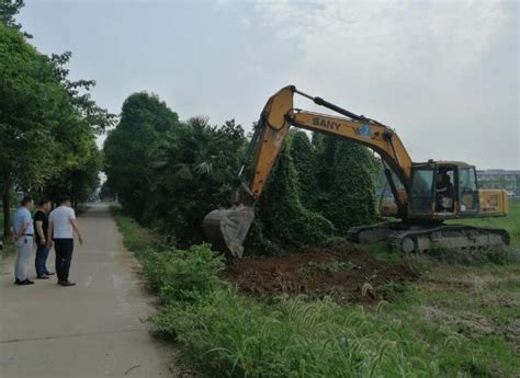 仙鹤股份石首250万吨林浆纸一体化项目双征工作进展顺利 纸业网 资讯中心
