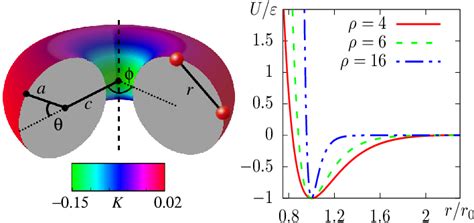 Figure 1 From Phase Transitions On Non Uniformly Curved Surfaces