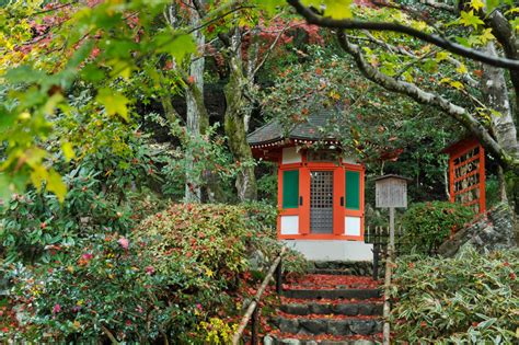 新善行寺HP 晩秋の庭Late Autumn