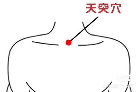 中醫教你一按改善咳嗽喉嚨痛腹瀉10大紓緩新冠後遺症穴位地圖