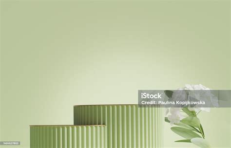 3d 디스플레이 연단 파스텔 녹색 배경 잎을 가진 하얀 꽃 아름다움 화장품 프리젠 테이션을위한 자연 최소 골드 받침대 여름과 봄