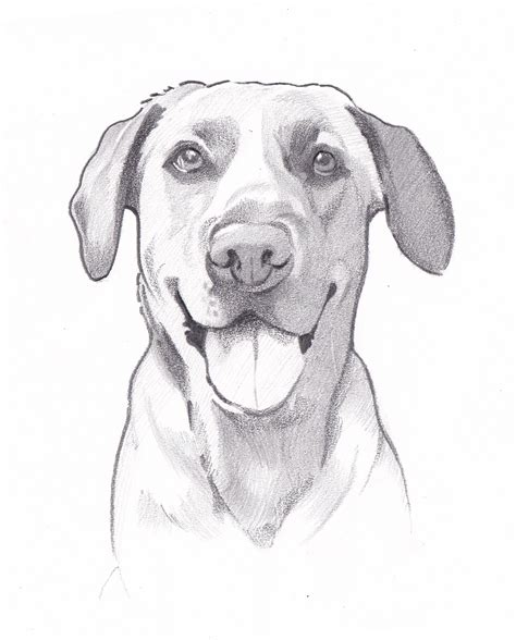 Retrato de mascotas dibujo perro gato lápiz de fotografía arte de