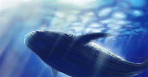 Whale Whale Williegagaのイラスト Pixiv