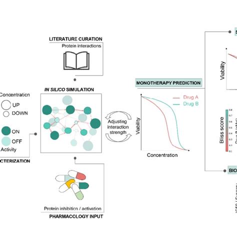Integration Of Diverse Data Types To Feed Our Simulated Cell To Download Scientific Diagram