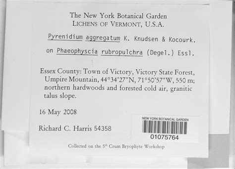 Ocr Resources Idigbio
