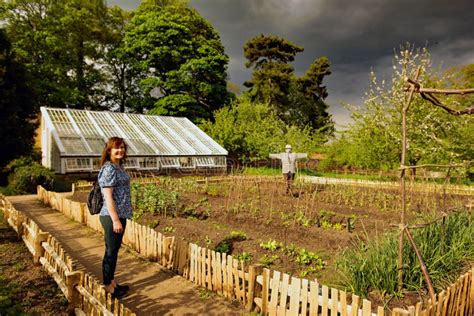 Adele In Calke Abbey Vegetable Garden Stock Image Image Of Pretty