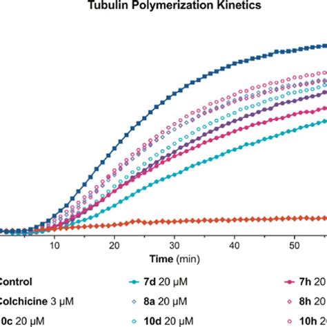 Effects Of The Selected Compounds On Microtubule Dynamics