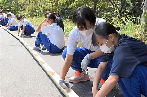 竹2千本 「流しそうめん」で世界最長記録に挑戦 目標は33177m超え 高森町の中学生｜信濃毎日新聞デジタル 信州・長野県のニュースサイト