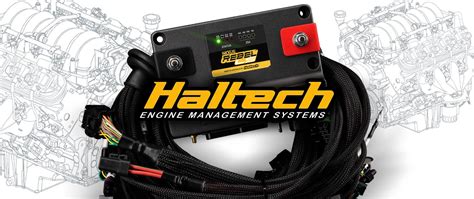 Haltech NEXUS Rebel LS – G8Only – For All Things G8
