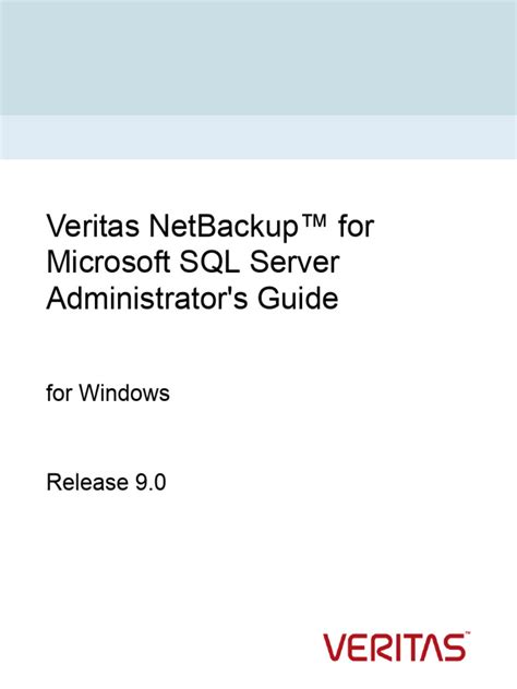 Netbackup90 Adminguide Mssql Win Pdf Microsoft Sql Server Backup
