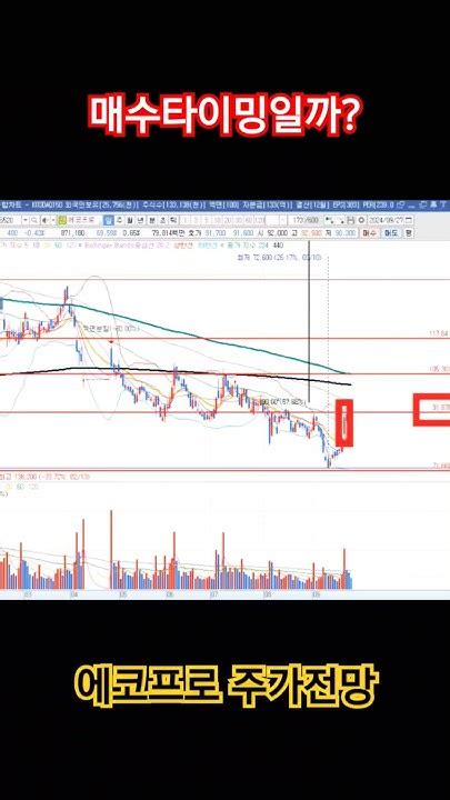 에코프로 매수타이밍일까 에코프로주가전망 에코프로대응전략 에이피알 두산로보틱스 에코프로에이치엔 포스코홀딩스 알테오젠 유한양행 삼성전자주가전망 두산에너빌리티