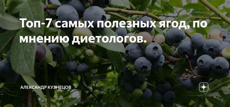 Топ 7 самых полезных ягод по мнению диетологов Александр Кузнецов