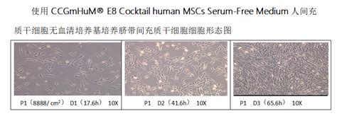Hy Stemcell E8275f 人msc无血清培养基 重庆市华雅干细胞技术有限公司