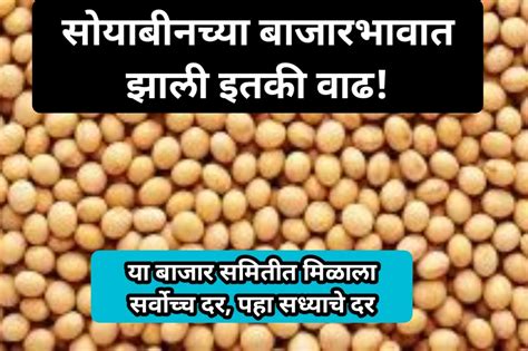 सोयाबीनच्या बाजारभावात झाली इतकी वाढ या बाजार समितीत मिळाला सर्वोच्च