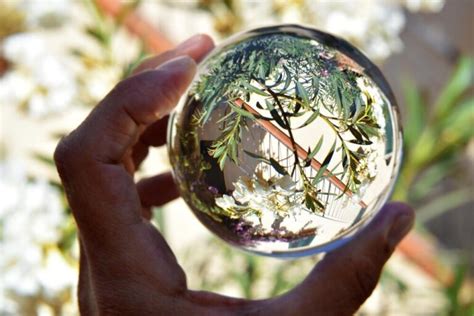 Signum 33 Wg Skuteczne Zastosowanie W Ochronie Roślin